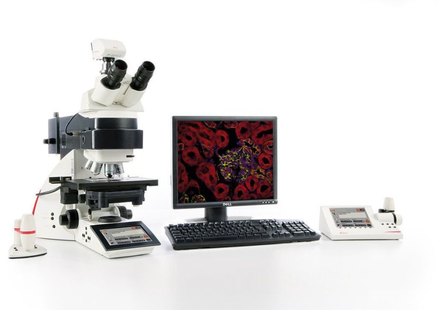 Health Management and Leadership Portal | Digital video camera / for ...