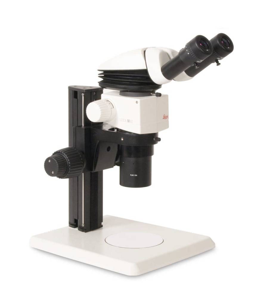 Health Management and Leadership Portal | Laboratory stereo microscope ...