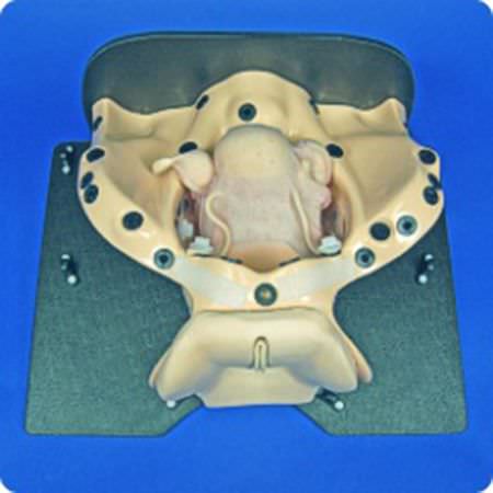 Health Management and Leadership Portal | Pelvic examination simulator ...