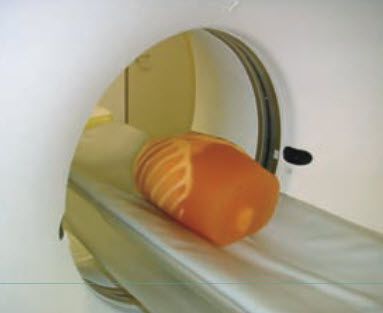 Health Management and Leadership Portal | CT scan test phantom / thorax ...