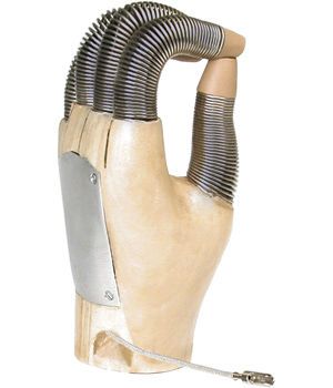 Health Management and Leadership Portal | Hand prosthesis (upper ...