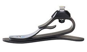 Health Management and Leadership Portal | Hand prosthesis (upper ...