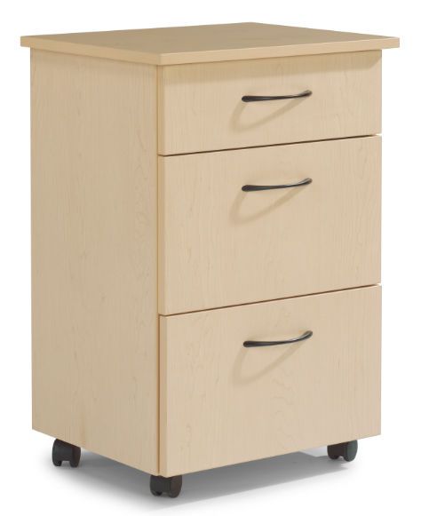 Health Management and Leadership Portal | Bedside table / on casters ...