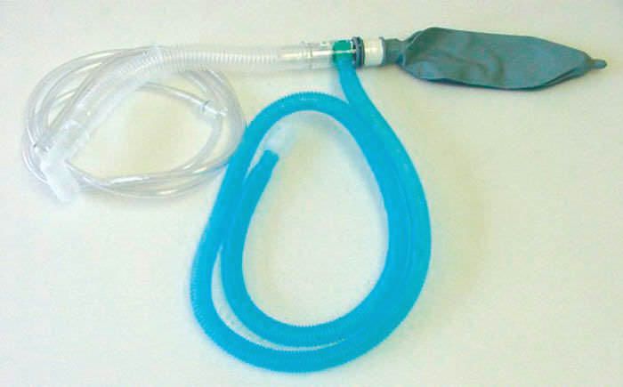 Health Management and Leadership Portal | Jackson-Rees anesthesia ...