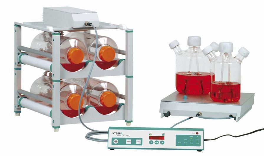 Health Management and Leadership Portal | Laboratory cell culture ...