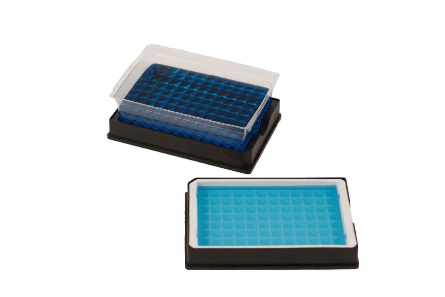 Health Management and Leadership Portal | Laboratory cell culture ...