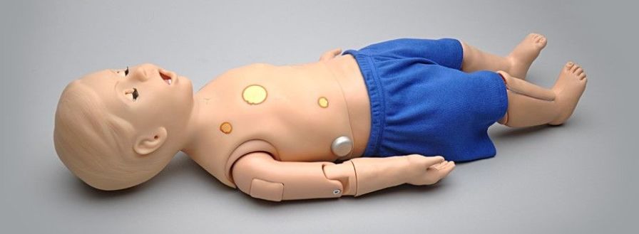 Health Management and Leadership Portal | Treatment patient simulator ...