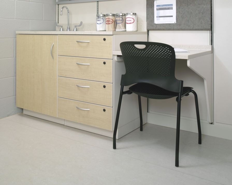 Health Management and Leadership Portal | Storage trolley / modular ...