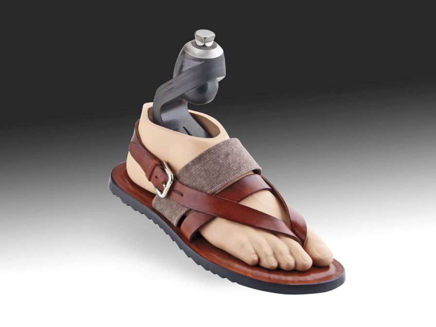 Health Management and Leadership Portal | Foot prosthesis (lower ...