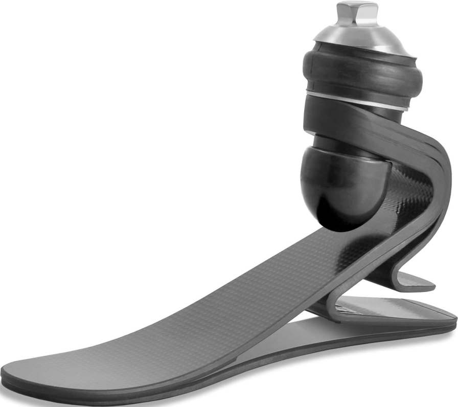 Health Management and Leadership Portal | Foot prosthesis (lower ...