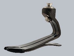 Health Management and Leadership Portal | Foot prosthesis (lower ...