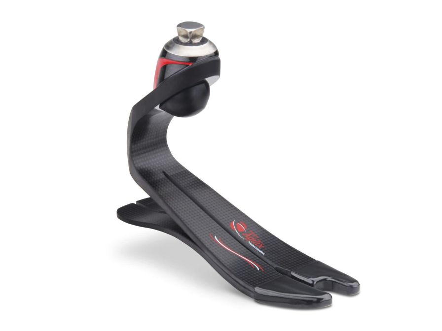 Health Management and Leadership Portal | Foot prosthesis (lower ...