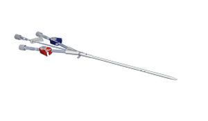 Health Management and Leadership Portal | Hemodialysis catheter ...