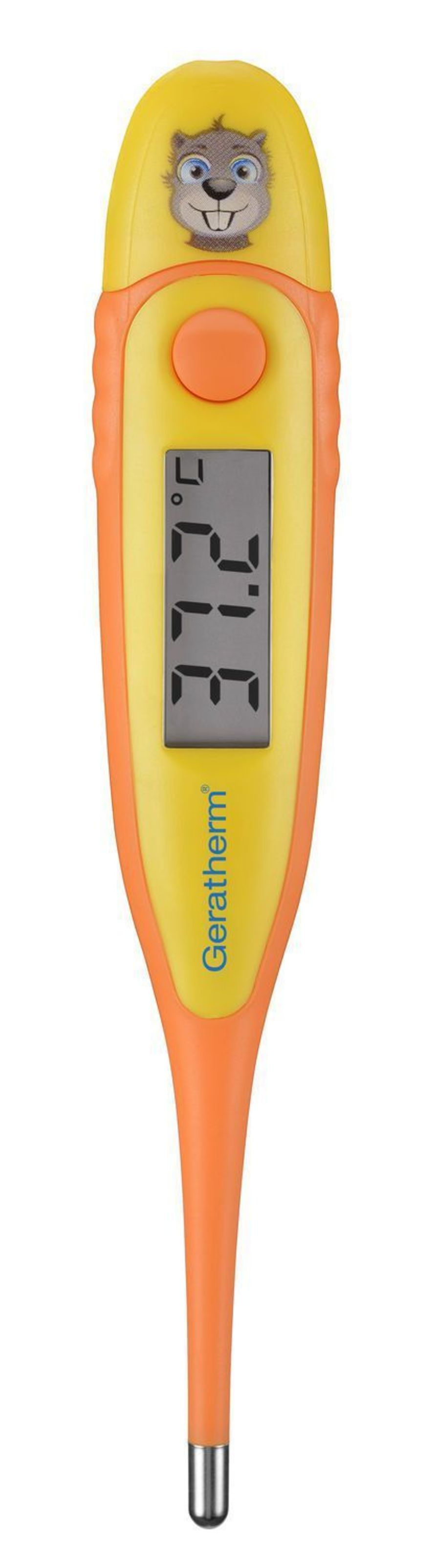 Health Management and Leadership Portal | Pediatric thermometer ...