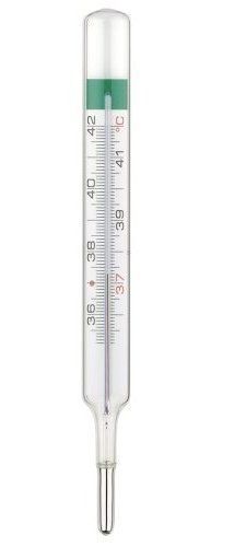 Health Management and Leadership Portal | Medical thermometer / gallium ...