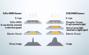 Health Management and Leadership Portal | Dental x-ray generator ...