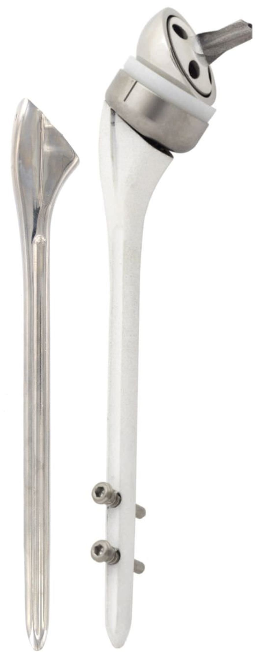 Health Management and Leadership Portal | Traditional total shoulder ...