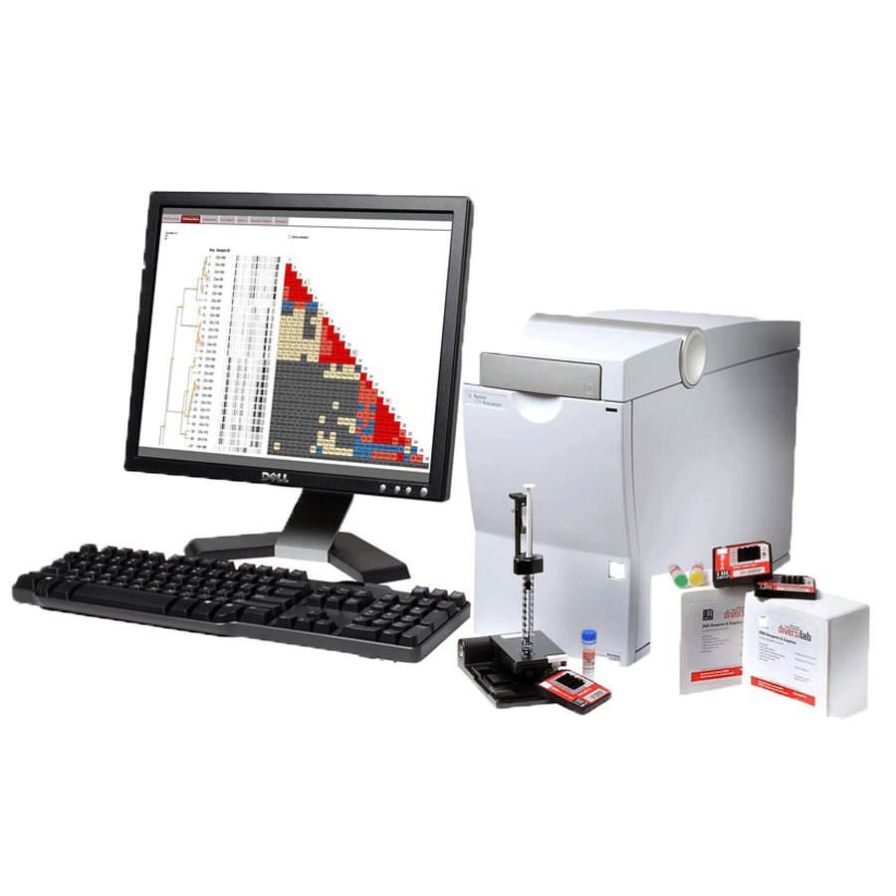 Health Management and Leadership Portal | Gram staining bacterial ...