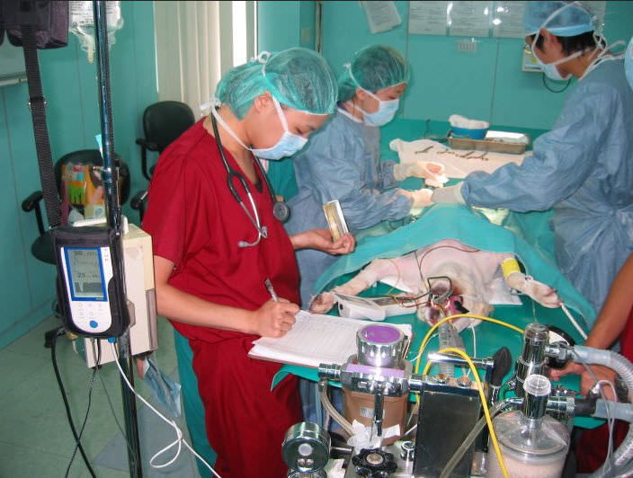 Health Management and Leadership Portal | Vital signs monitor MD-830 Comdek Industrial ...