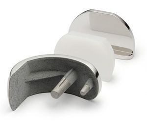 Health Management and Leadership Portal | Traditional hip prosthesis ...