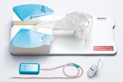 Health Management and Leadership Portal | Sciatic nerve anatomical ...