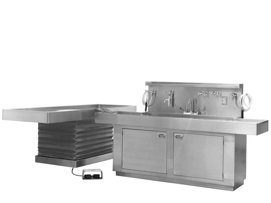 Health Management and Leadership Portal | Necropsy table / stainless ...
