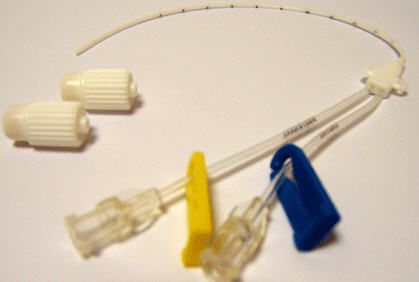 Health Management and Leadership Portal | Central venous catheter ...