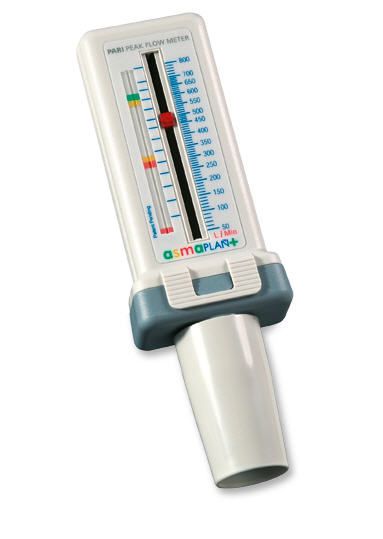 Health Management and Leadership Portal | Peak flow meter Pari ...