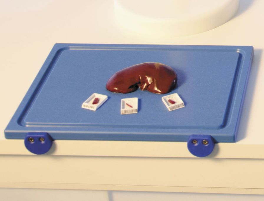 Health Management and Leadership Portal | Macroscopic digital imaging ...