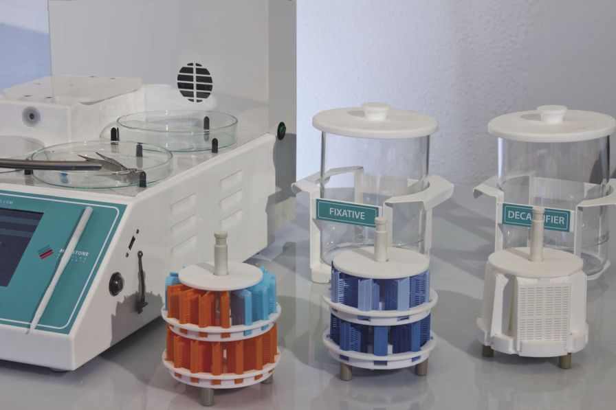 Health Management and Leadership Portal | Macroscopic digital imaging ...