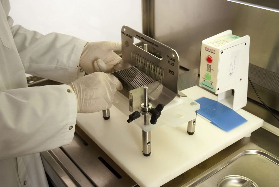 Health Management and Leadership Portal | Macroscopic digital imaging ...