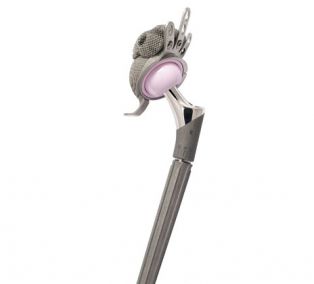 Health Management and Leadership Portal | Revision hip prosthesis / for ...