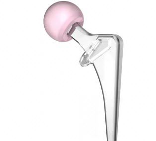 Health Management and Leadership Portal | Traditional femoral stem ...