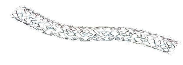 Health Management and Leadership Portal | Vascular stent / platinum ...