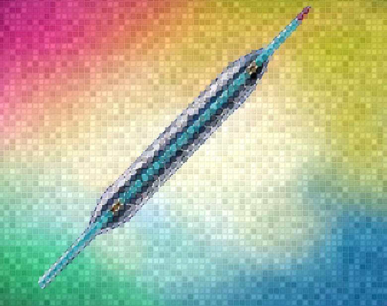 Health Management and Leadership Portal | PTCA catheter / balloon MOZEC ...