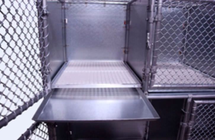 Health Management and Leadership Portal | Stainless steel kennel cage ...
