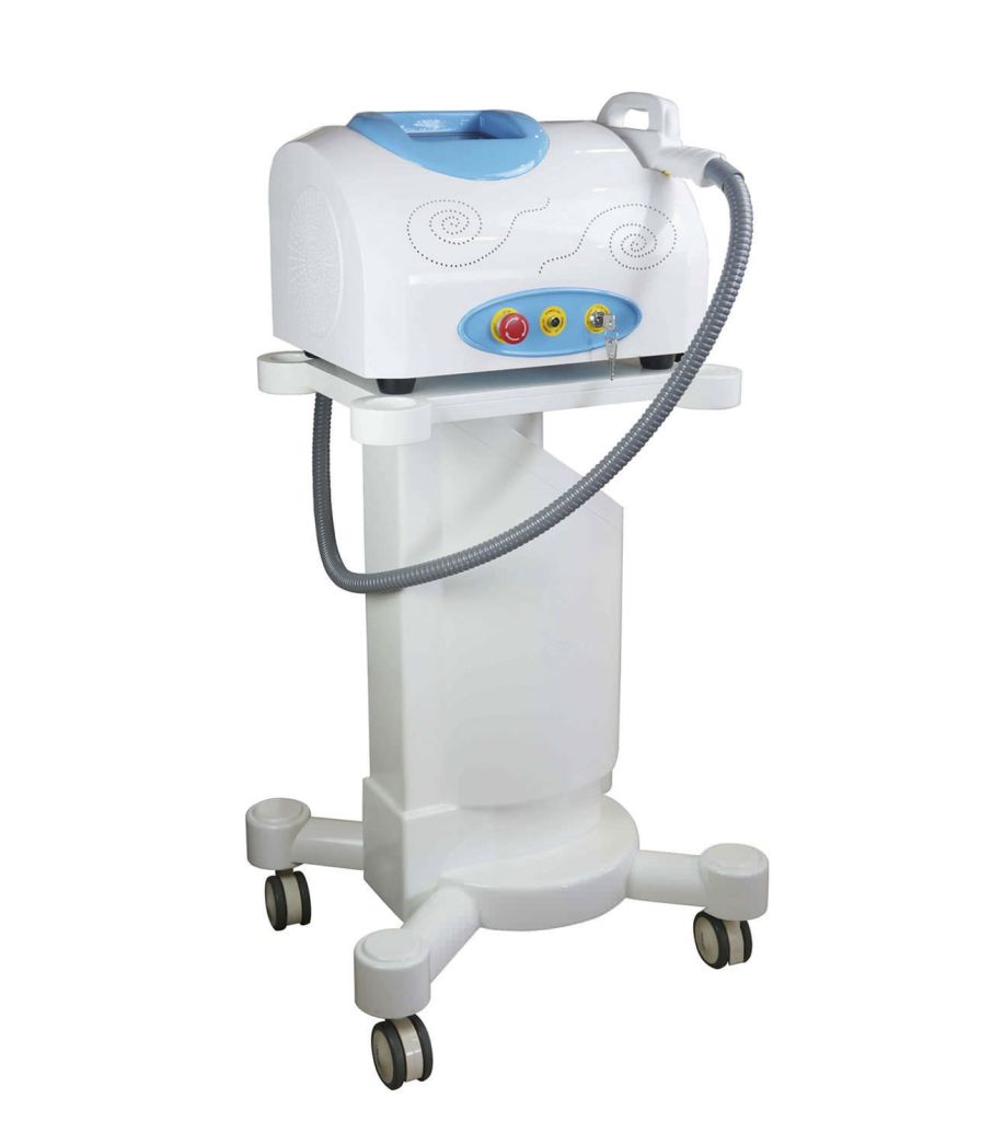 Health Management and Leadership Portal | IPL system / on casters IPL ...