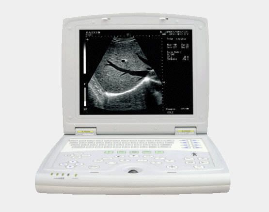 Health Management and Leadership Portal | Fetal and maternal monitor ...