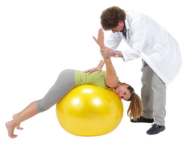 Health Management and Leadership Portal | Squeeze ball THERA ...