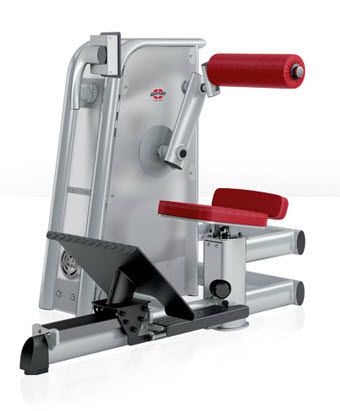 Health Management and Leadership Portal | (weight training) / lumbar ...