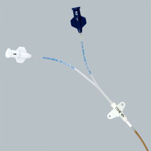 Health Management and Leadership Portal | Central venous venous ...