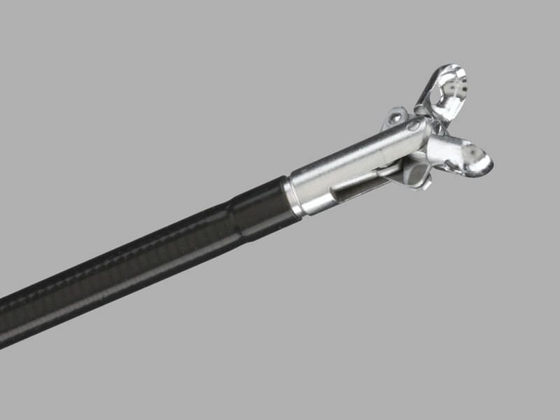 Health Management and Leadership Portal | Endoscopic forceps / biopsy ...