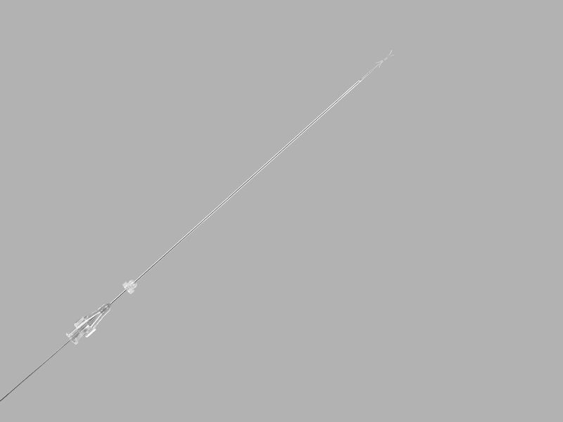 Health Management and Leadership Portal | Angiography catheter / aortic ...