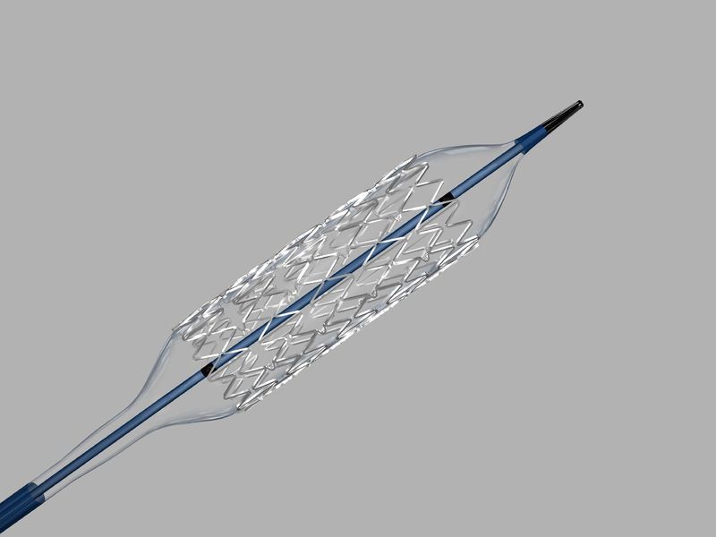 Health Management and Leadership Portal | Endovascular stent graft ...