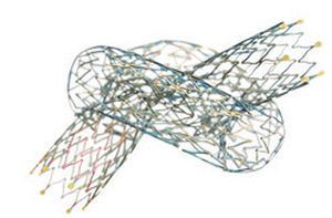 Health Management and Leadership Portal | Peripheral stent / with ...