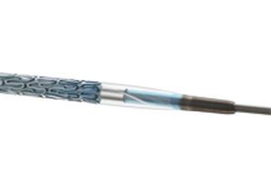 Health Management and Leadership Portal | Catheter guidewire ...