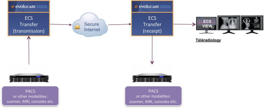 Health Management and Leadership Portal | ECS Anaesthesia ...