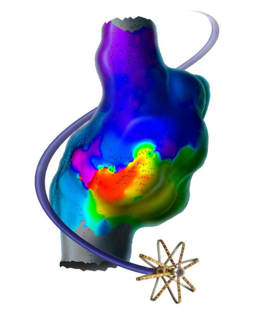 Health Management and Leadership Portal | Cardiac mapping system ...