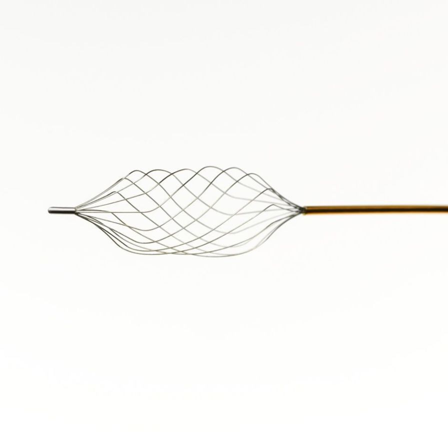 Health Management and Leadership Portal | Kidney stone extraction ...