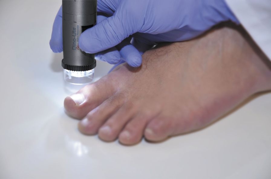 Health Management and Leadership Portal | Video dermatoscope with LED ...
